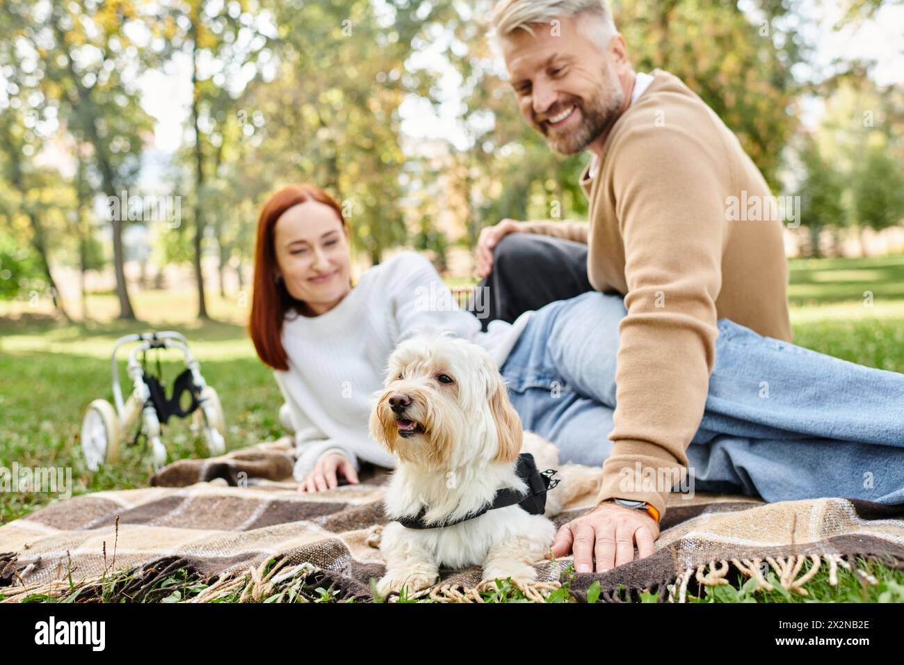 An adult loving couple sits on a blanket with their dog in a beautiful ...