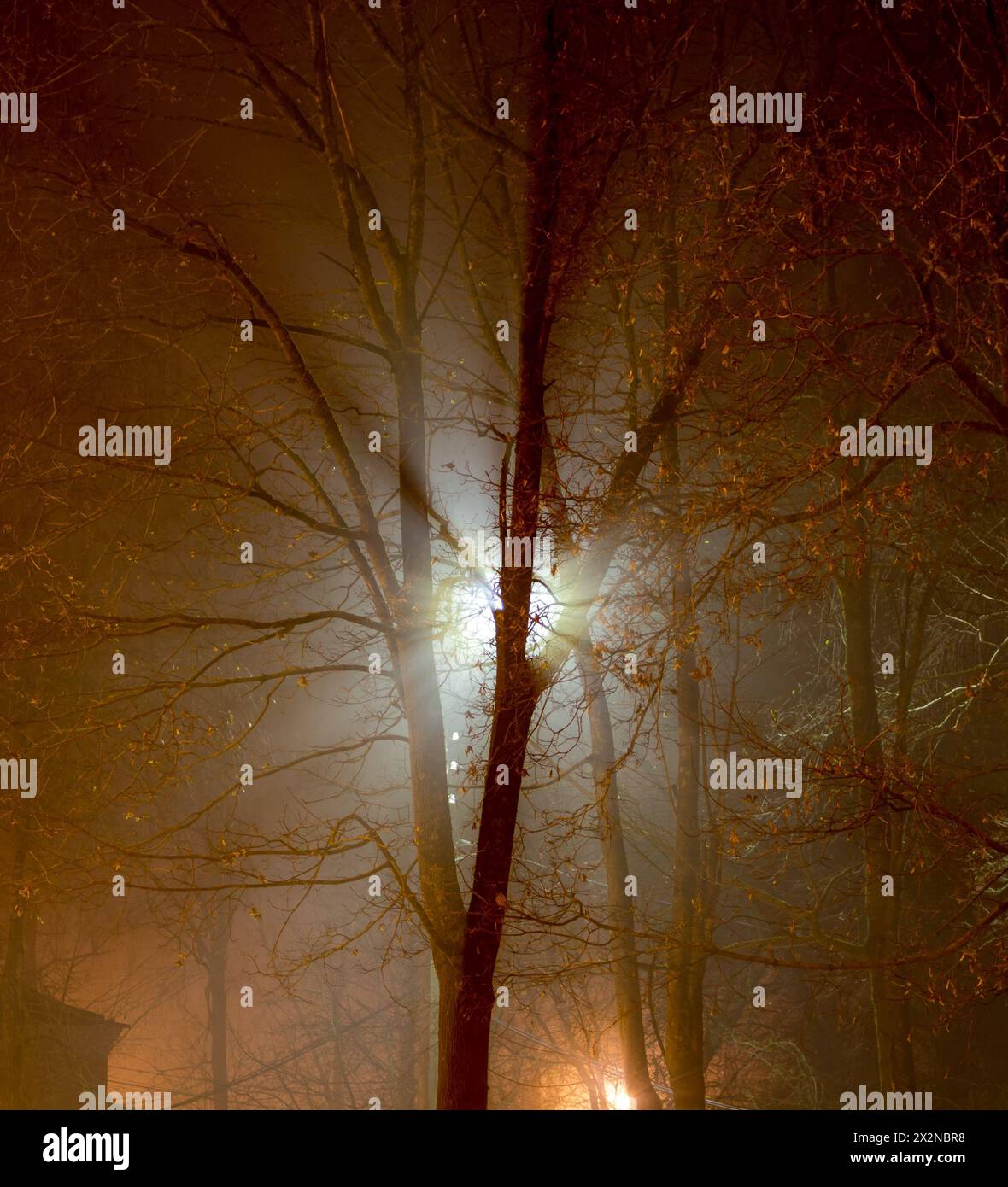 Scattered light from a street lamp at night during a thick fog, foggy ...