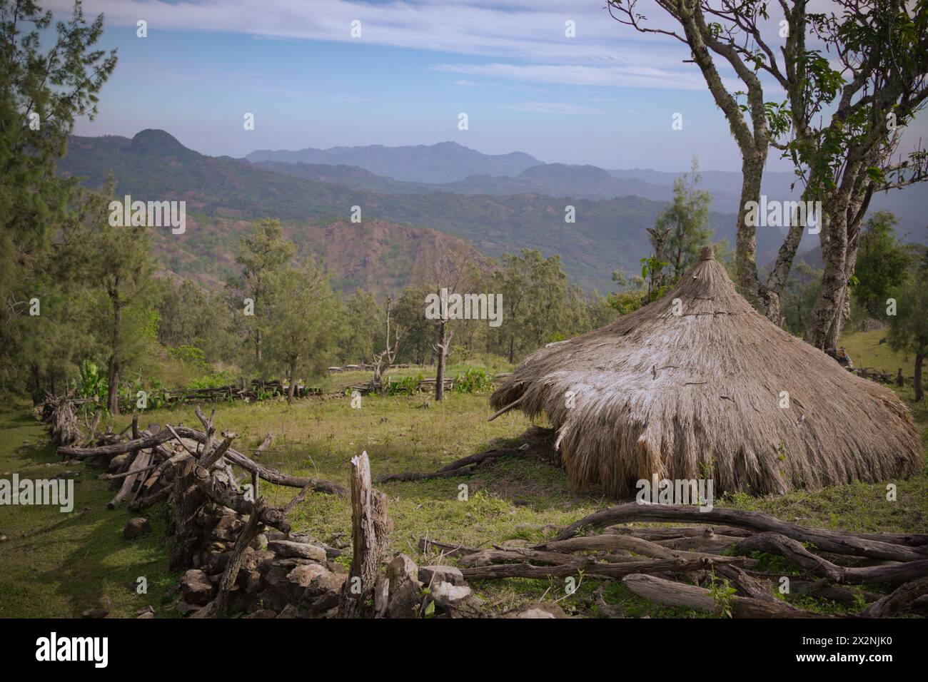 Ume Kbubu traditional house in Timor community Stock Photo - Alamy