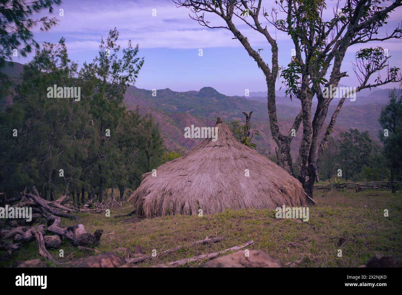 Ume Kbubu traditional house in Timor community Stock Photo - Alamy