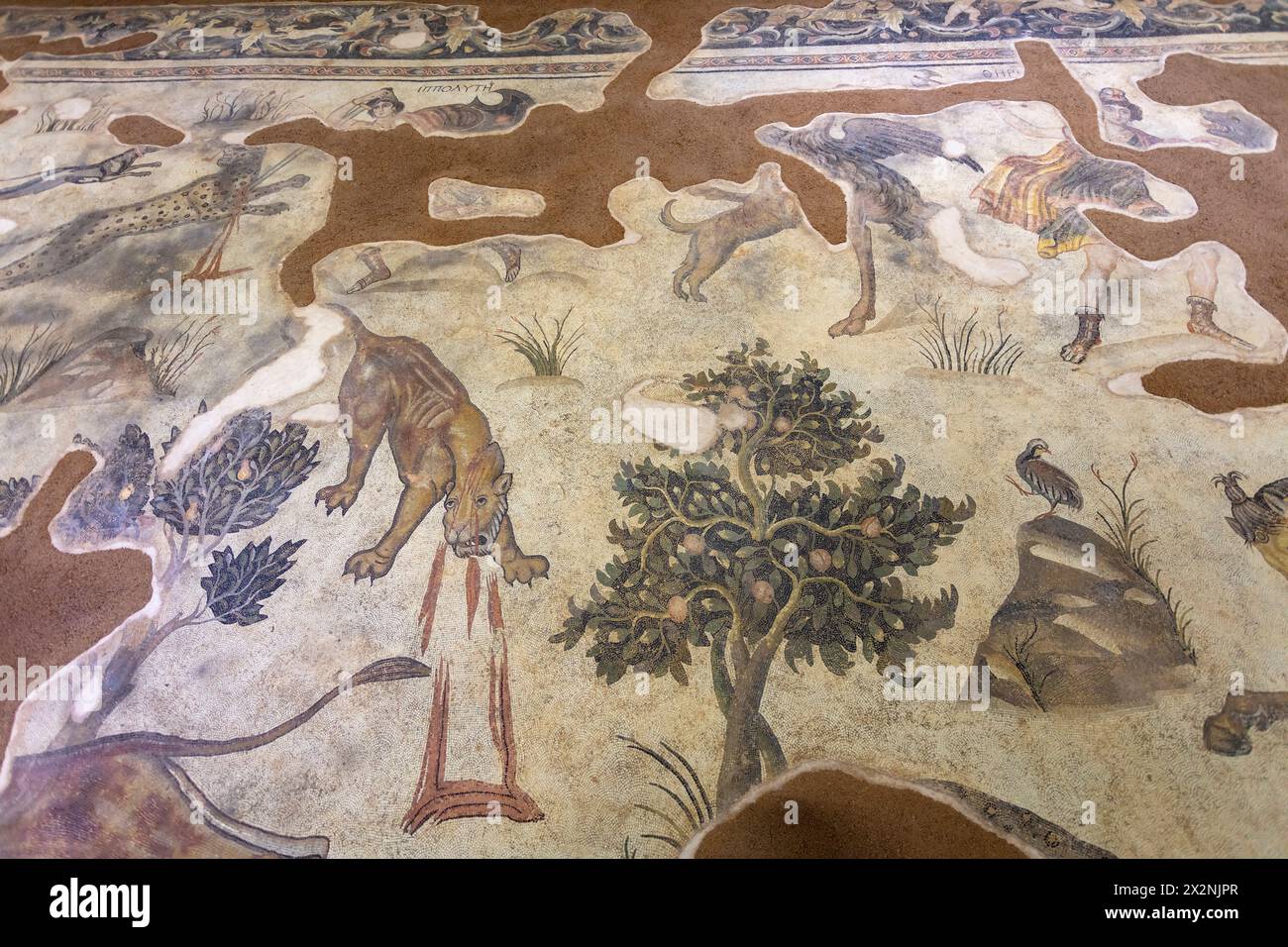 Haleplibahce Mosaic Museum housing Roman-era mosaics, Sanliurfa, Turkey ...