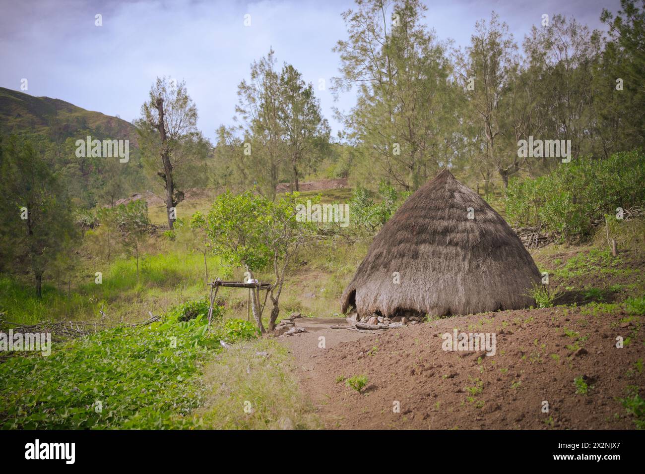 Ume Kbubu traditional house in Timor community Stock Photo - Alamy