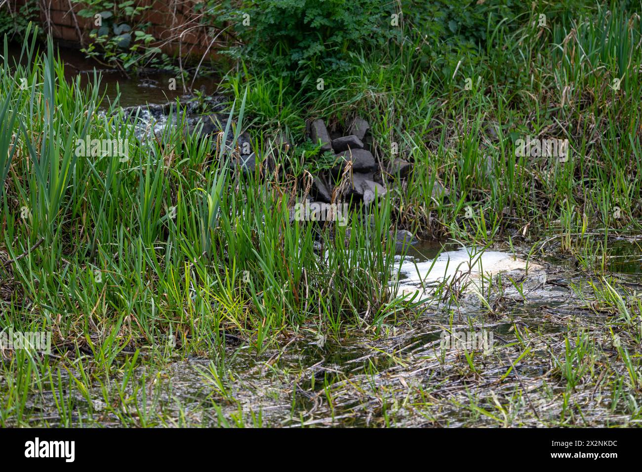 Overflow water from a nearby canal spilling into a reservoir pond via a ...