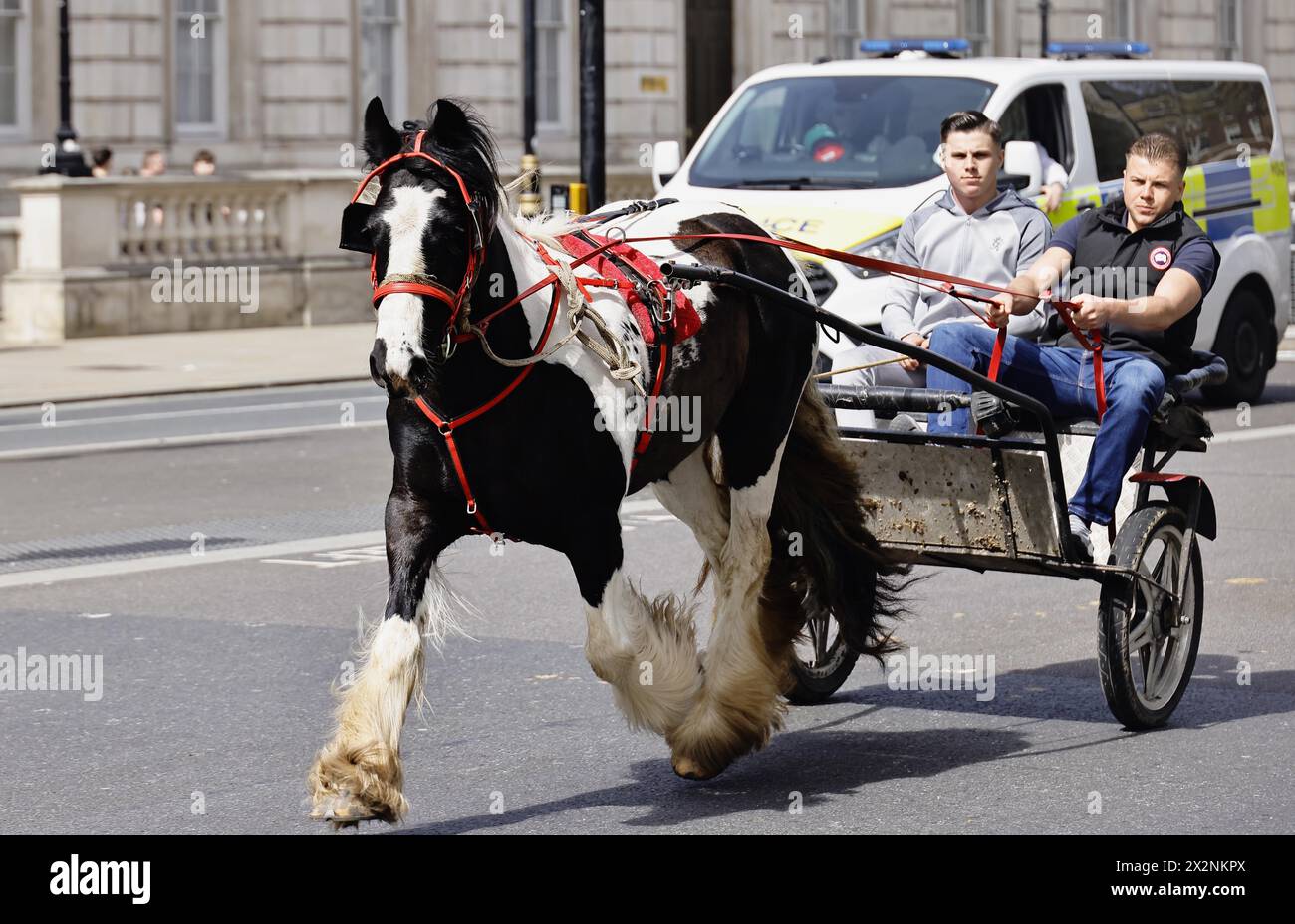 England, London, Whitehall, men from the Romany traveller community ...