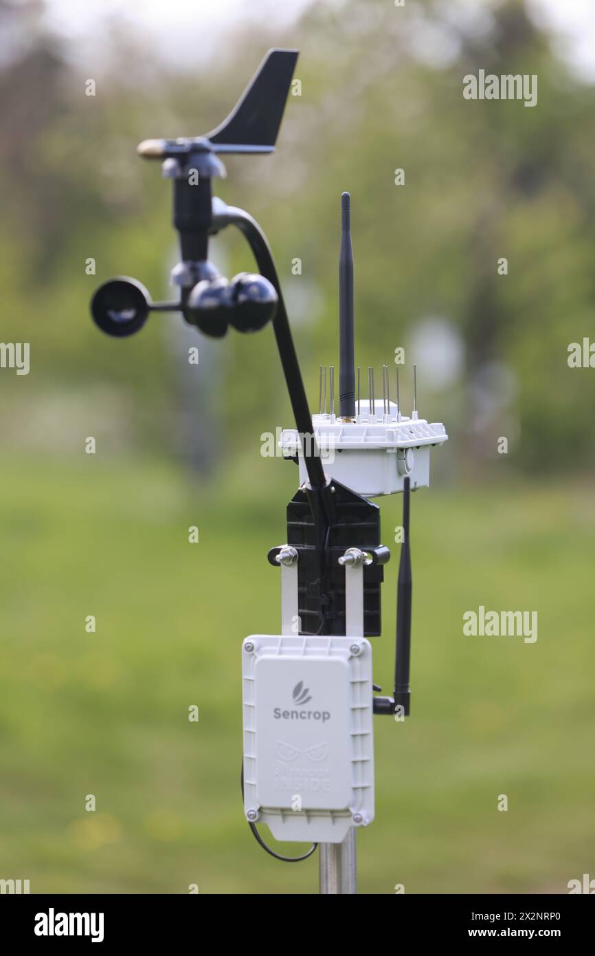 PRODUCTION - 18 April 2024, Saxony-Anhalt, Halberstadt: View of a ...