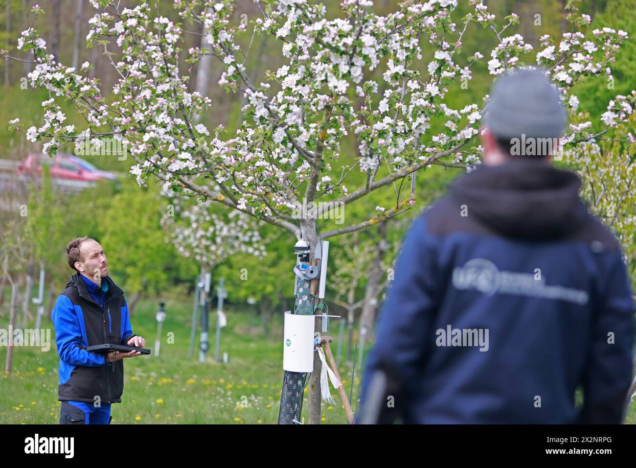 PRODUCTION - 18 April 2024, Saxony-Anhalt, Halberstadt: Simon Paasch ...