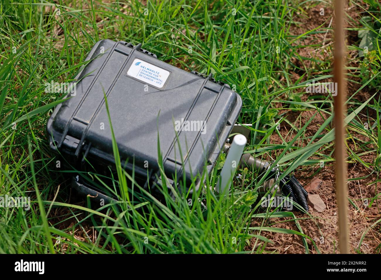PRODUCTION - 18 April 2024, Saxony-Anhalt, Halberstadt: View of a ...
