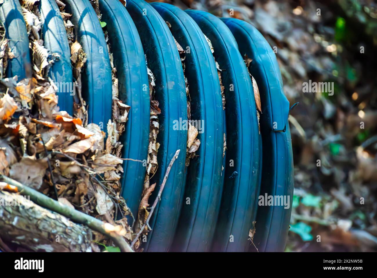 A large drain field pipe blends into the forest floor among dried ...