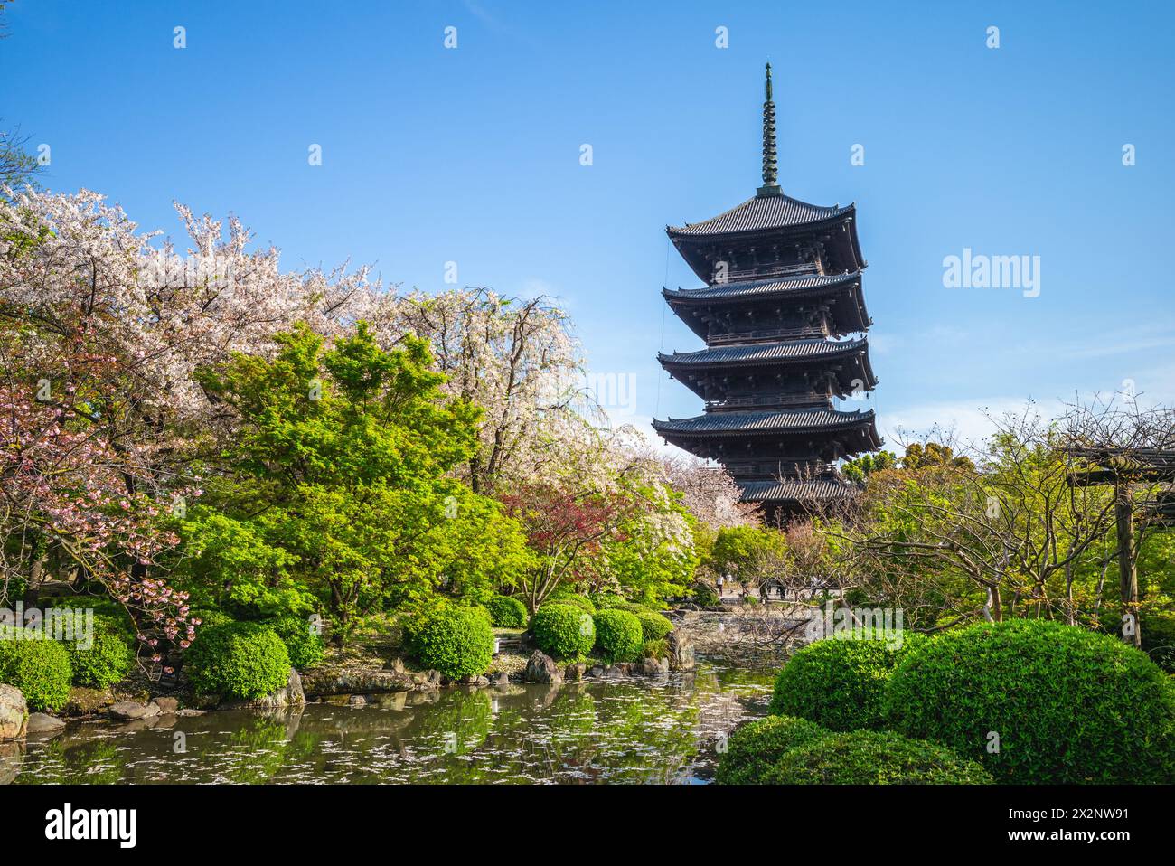 National treasure Five storied pagoda of Toji temple in Kyoto, Japan ...
