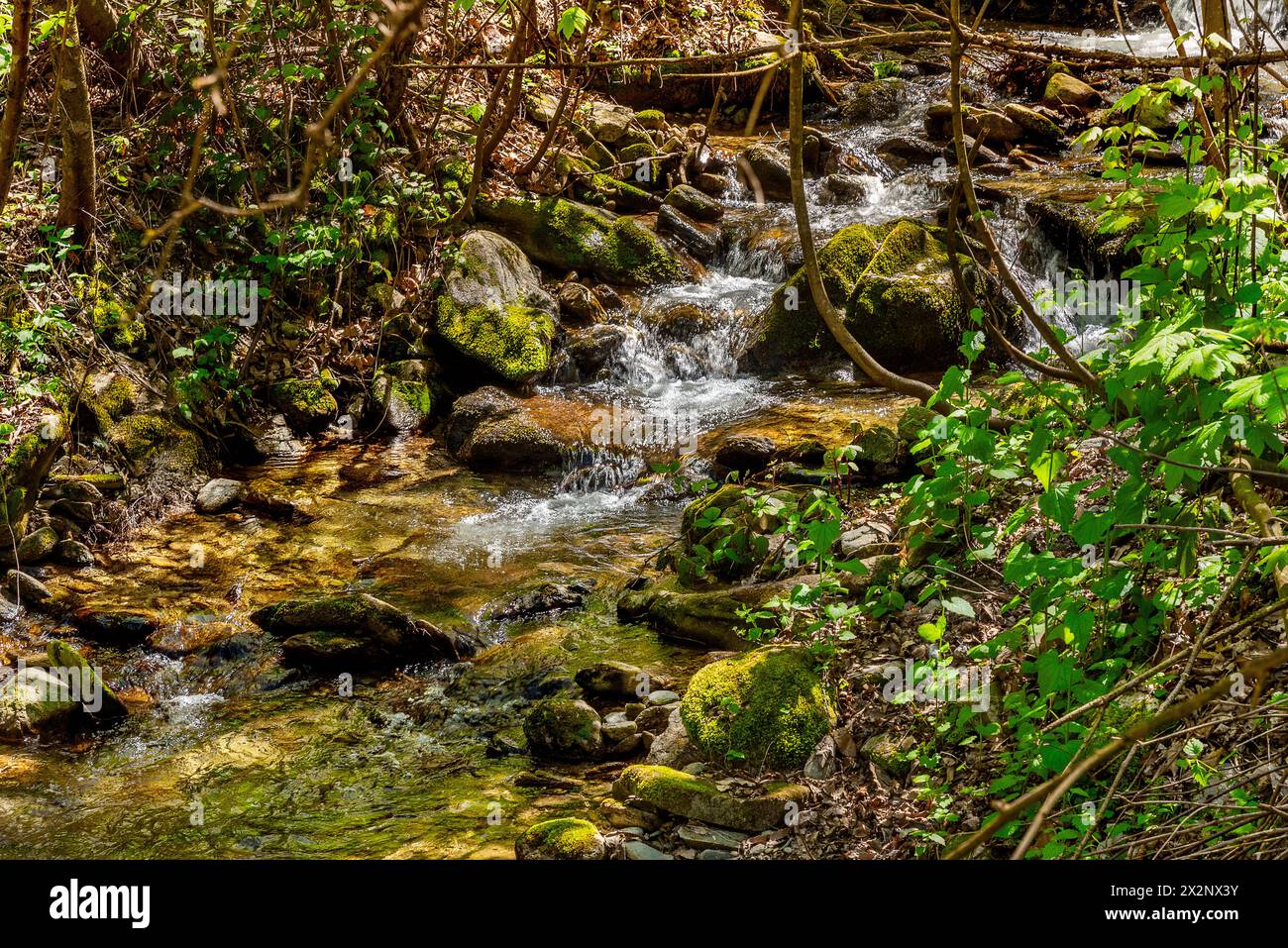 Landscape mountain river stream hi-res stock photography and images - Alamy