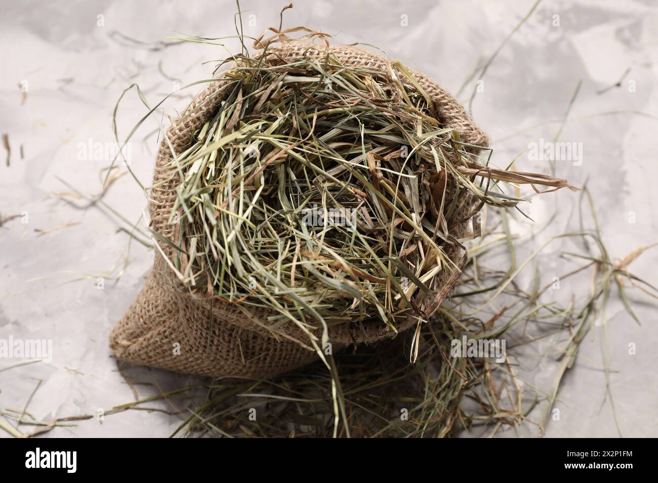 Dried hay in burlap sack on light grey textured table, above view Stock ...
