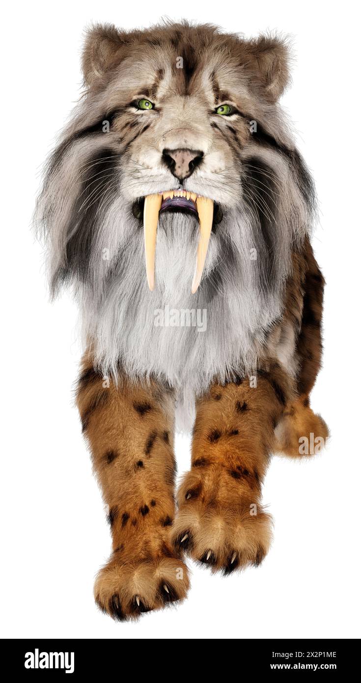 3d rendering saber tooth tiger hi-res stock photography and images - Alamy