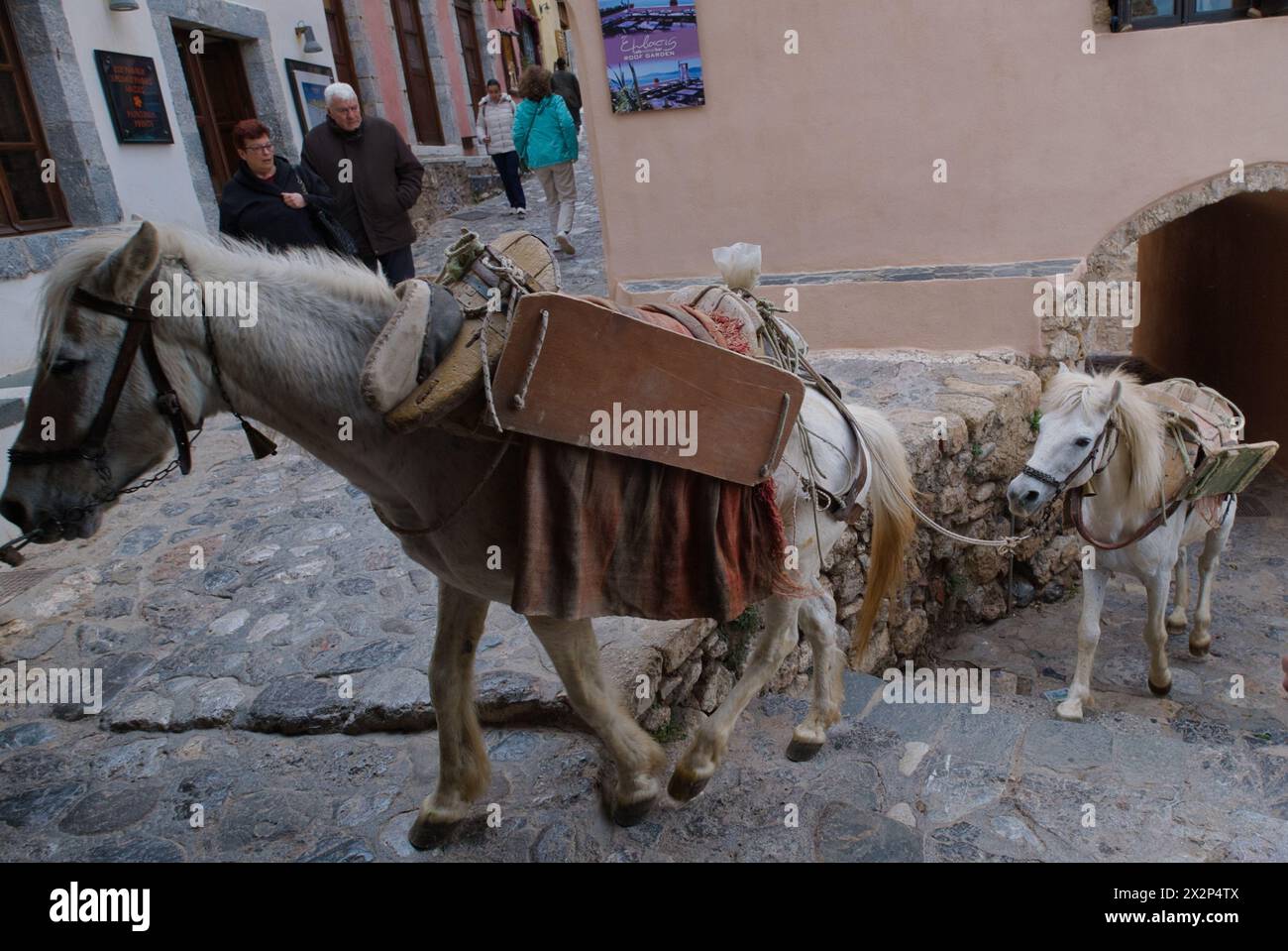 Village ponies hi-res stock photography and images - Alamy