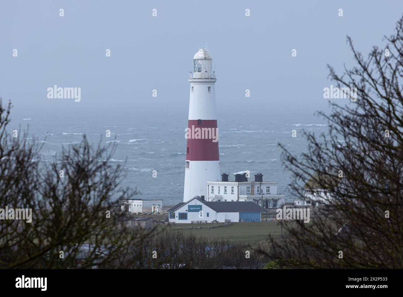 Portland Bill lighthouse & bird observatory Dorset April 2024 Stock ...