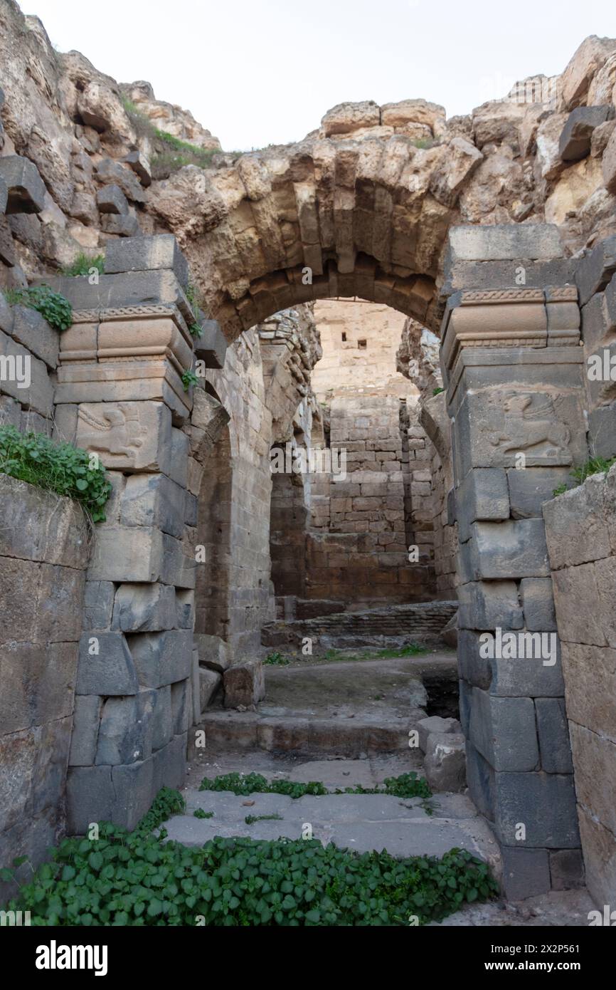 Archway with animal carvings in Harran Castle in the upper Mesopotamian ...