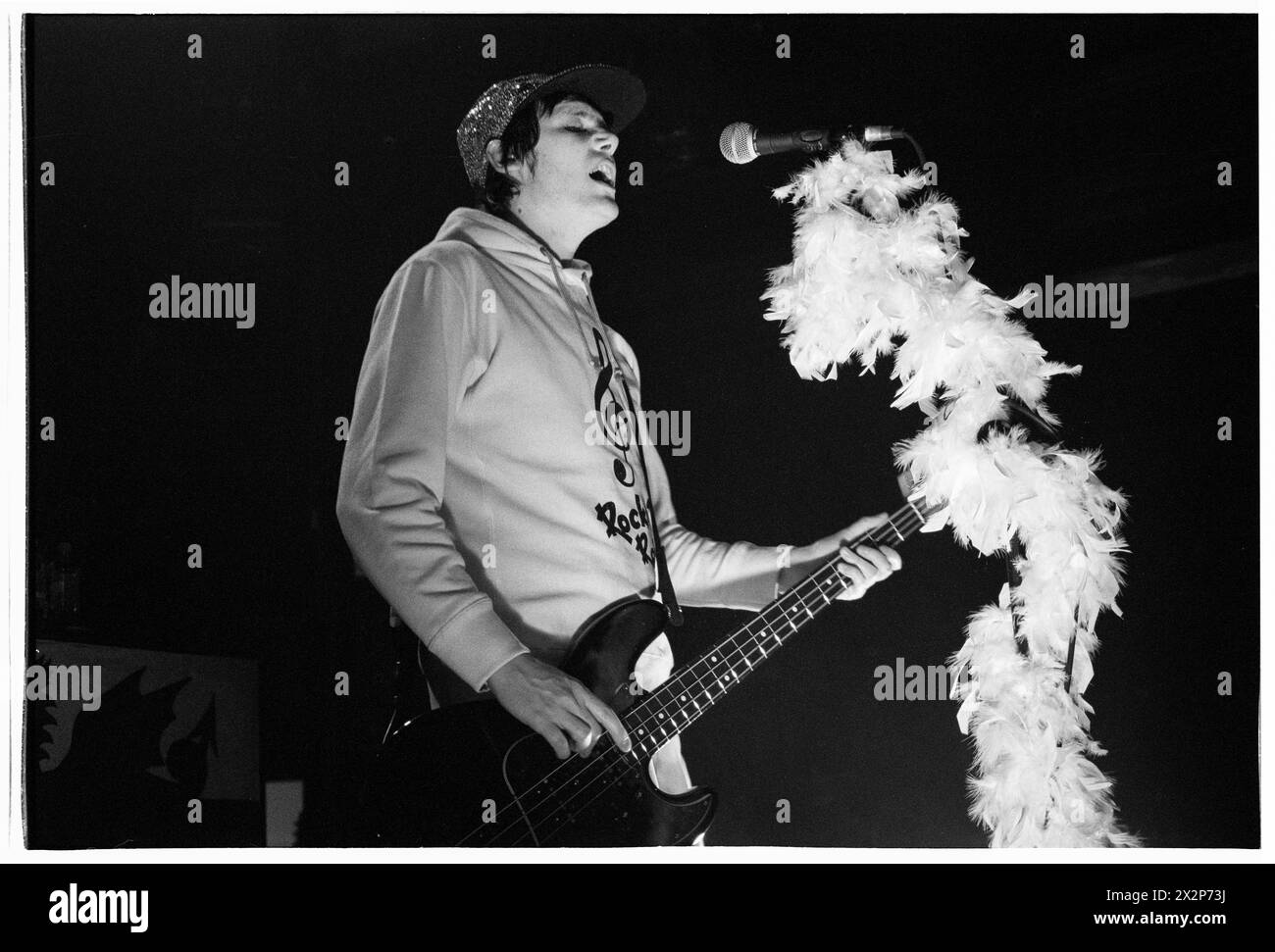 Welsh feathers design hi-res stock photography and images - Alamy