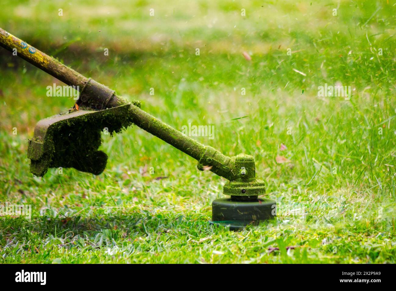 closeup of trimmer head cutting grass. professional lawn care ...