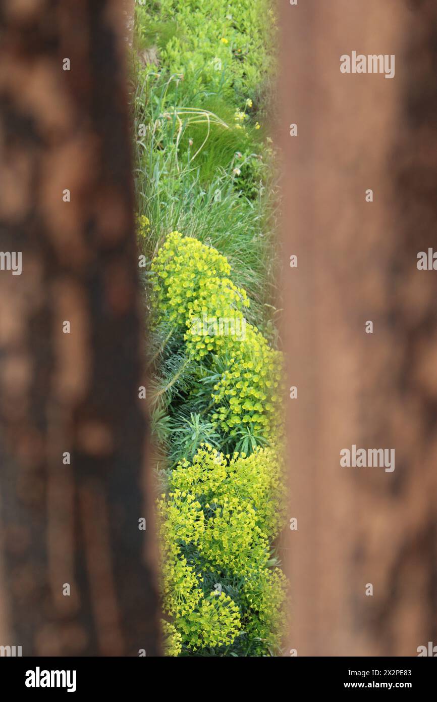 Mayfield Depot Manchester's newest urban park Stock Photo - Alamy