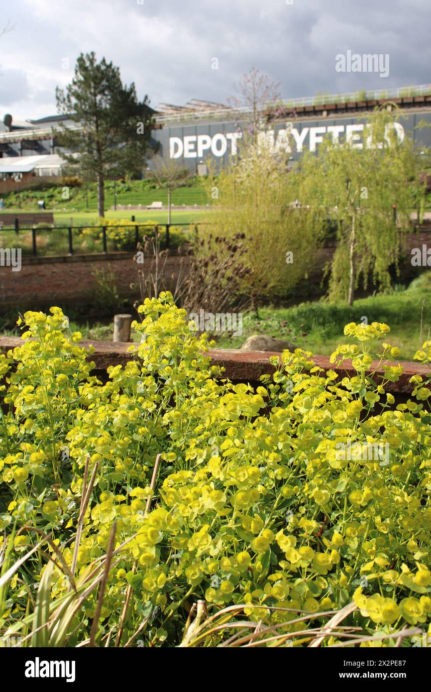 Mayfield Depot Manchester's newest urban park Stock Photo - Alamy