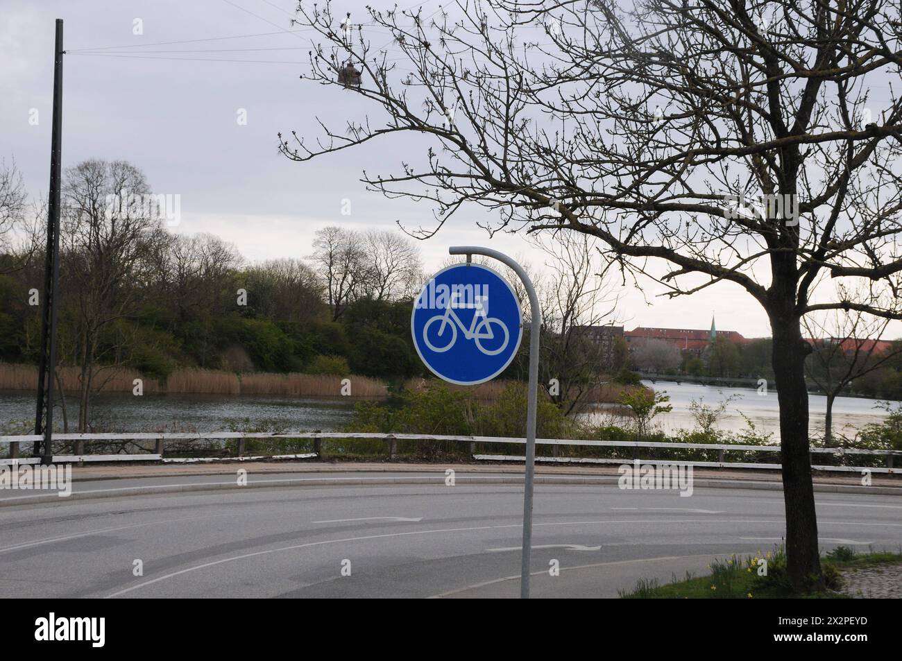 Copenhagen/ Denmark/23 April 2024/Biker rides on bike lane in danish ...