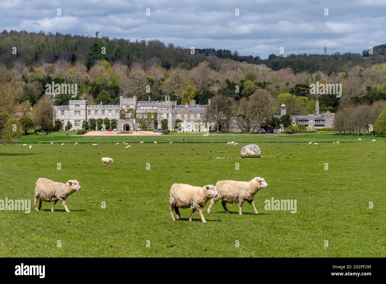 View of West Dean House and country estate in spring with sheep and ...