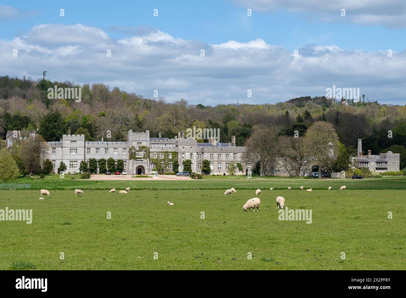 View of West Dean House and country estate in spring with sheep and ...