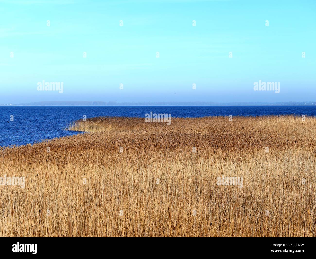 Light blue belt hi-res stock photography and images - Alamy