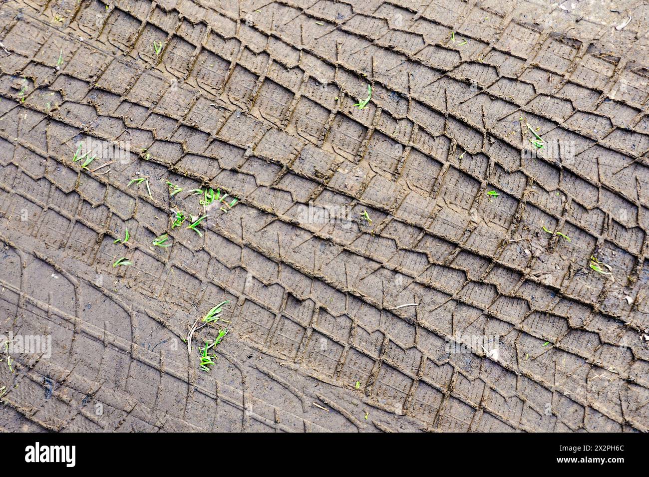 Car tire tread pattern prints in the mud, wheel protector marks texture, tyre tracks in the mud ...