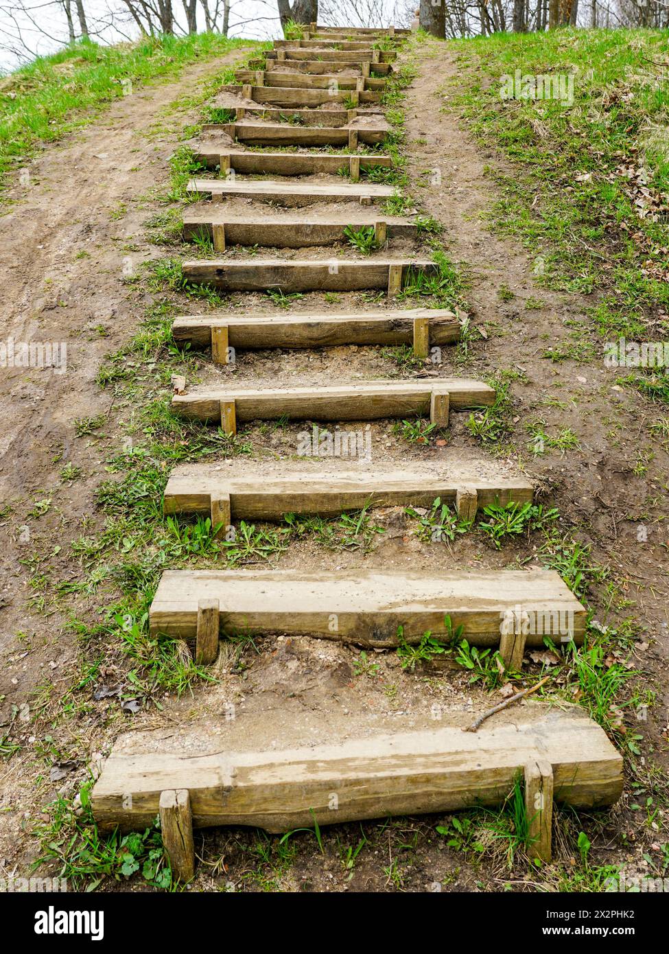 Simple solid wood step stairs without handrails in nature park, bottom ...