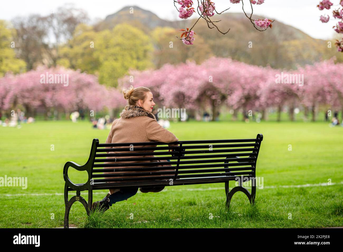Nancy Clarke poses in spring time scenes from Edinburgh's Meadows as ...