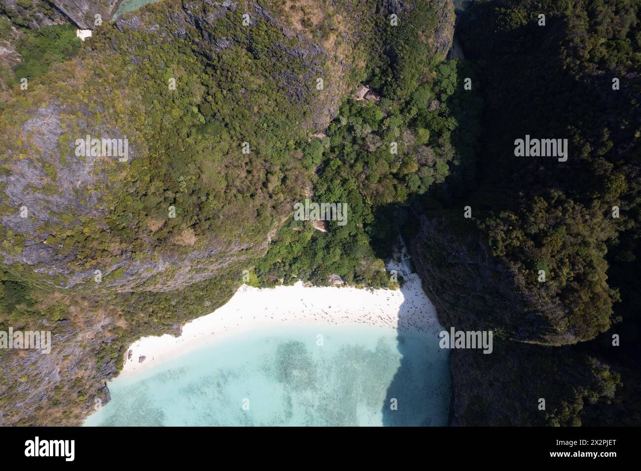 Aerial view of Maya bay beach in koh Phi Phi Leh, Krabi, Thailand Stock Photo - Alamy