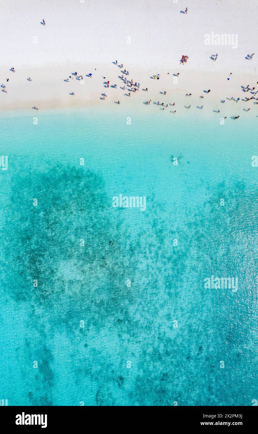 Aerial view of Maya bay beach in koh Phi Phi Leh, Krabi, Thailand Stock Photo - Alamy