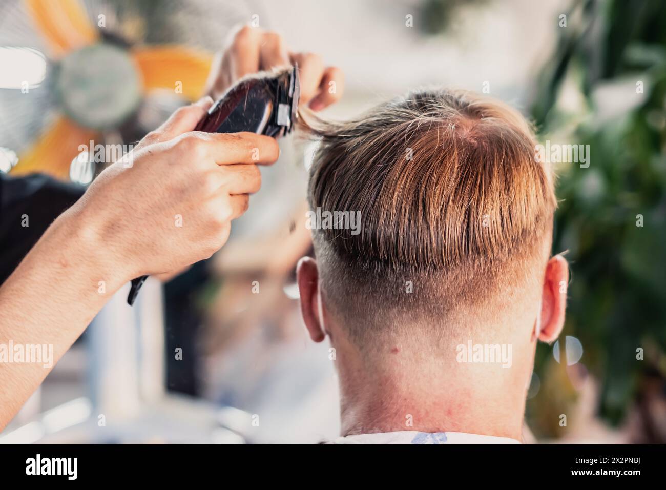 Neat young Vietnamese hairdresser makes haircut to male. Back view ...