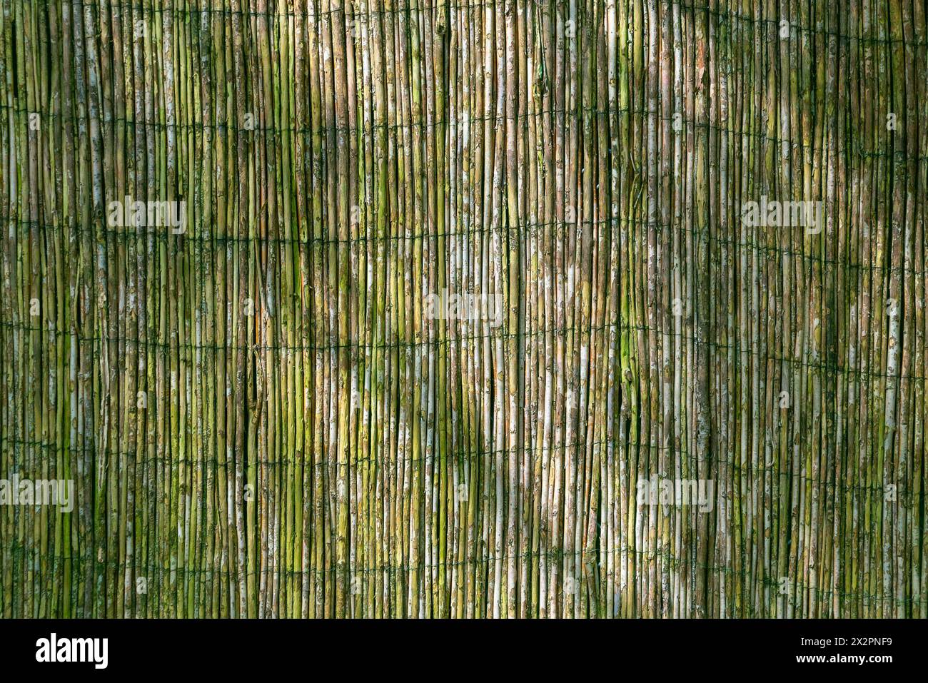 Wicker fence made of small twigs. Backgrounds and textures. Eco ...