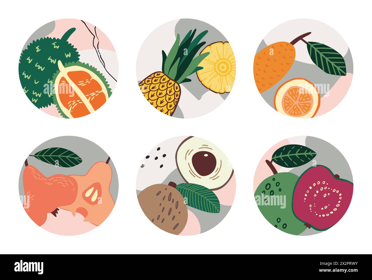 Fresh ripe pineapple whole Stock Vector Images - Alamy