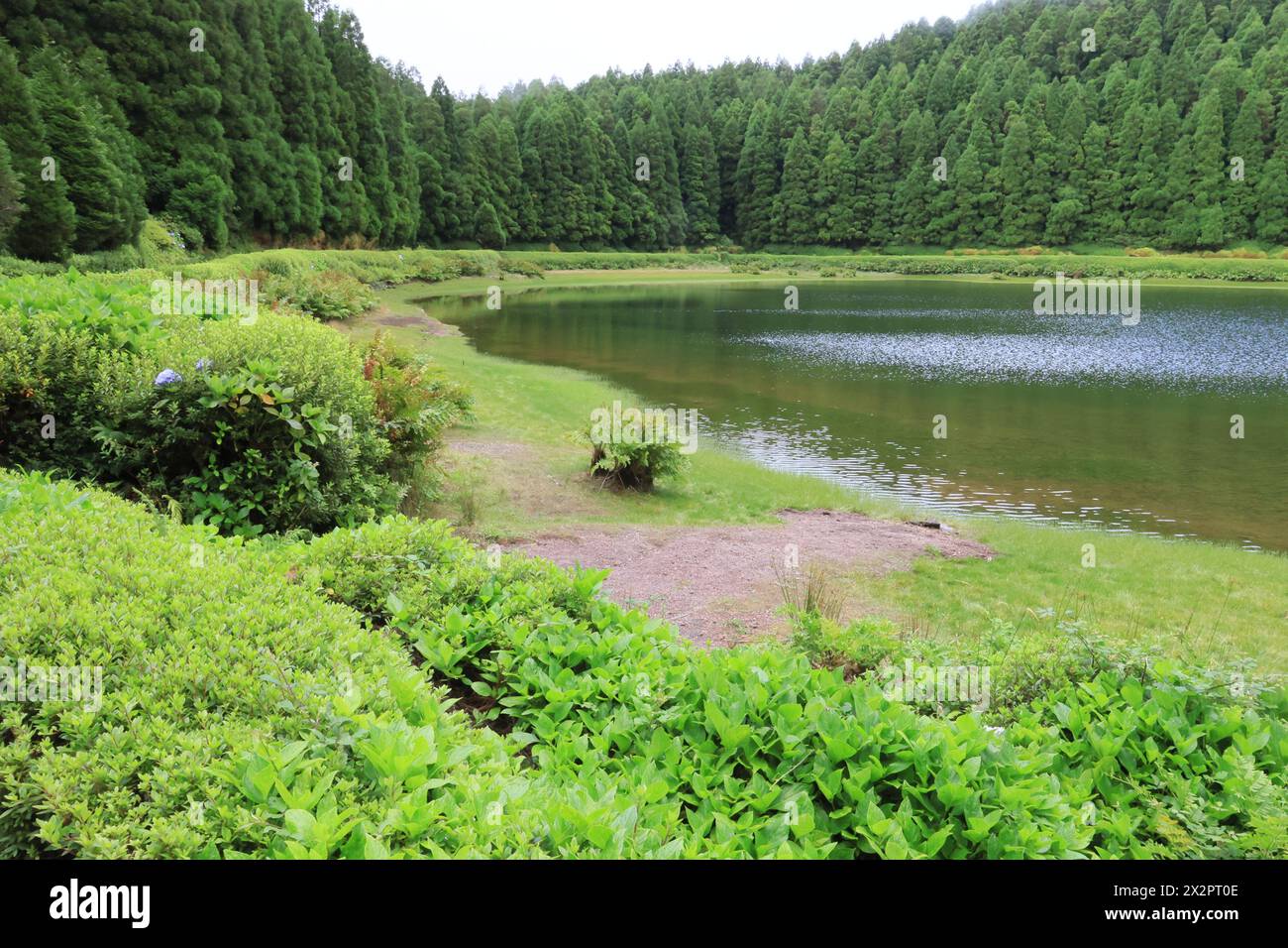 Volcanic lake in Sao Miguel island, Azores Stock Photo - Alamy
