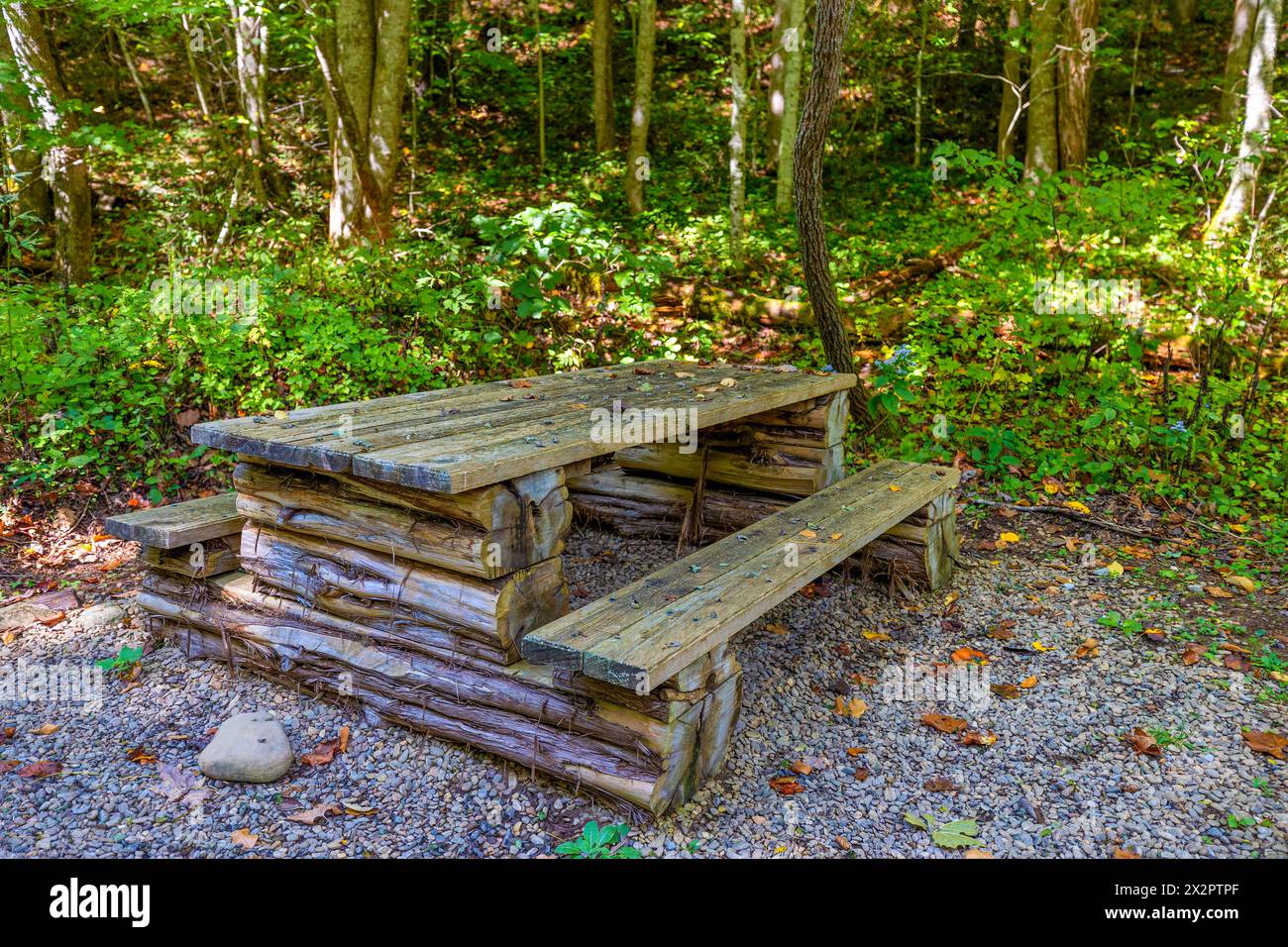 Rustic wooden picnic table in the Lamar Alexander Rocky Fork State Park ...