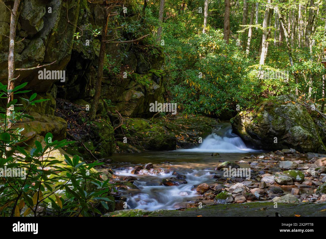 Sections of the Rocky Fork Creek in the Lamar Alexander Rocky Fork ...