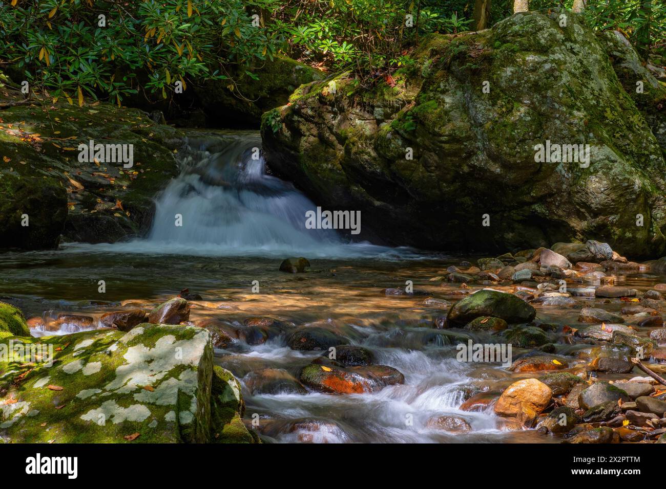 Sections of the Rocky Fork Creek in the Lamar Alexander Rocky Fork ...