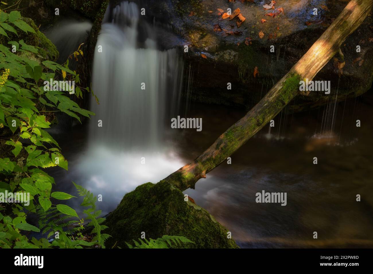 Sections of the Rocky Fork Creeek in the Lamar Alexander Rocky Fork ...