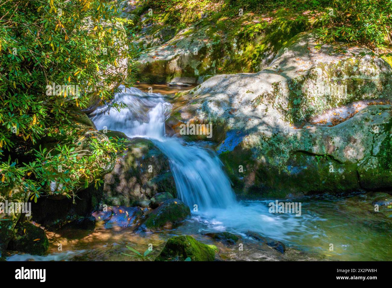 Sections of the Rocky Fork Creeek in the Lamar Alexander Rocky Fork ...
