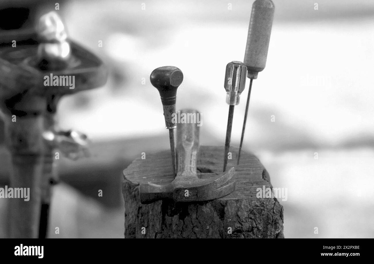 Manual tools placed on a tree stump Stock Photo - Alamy