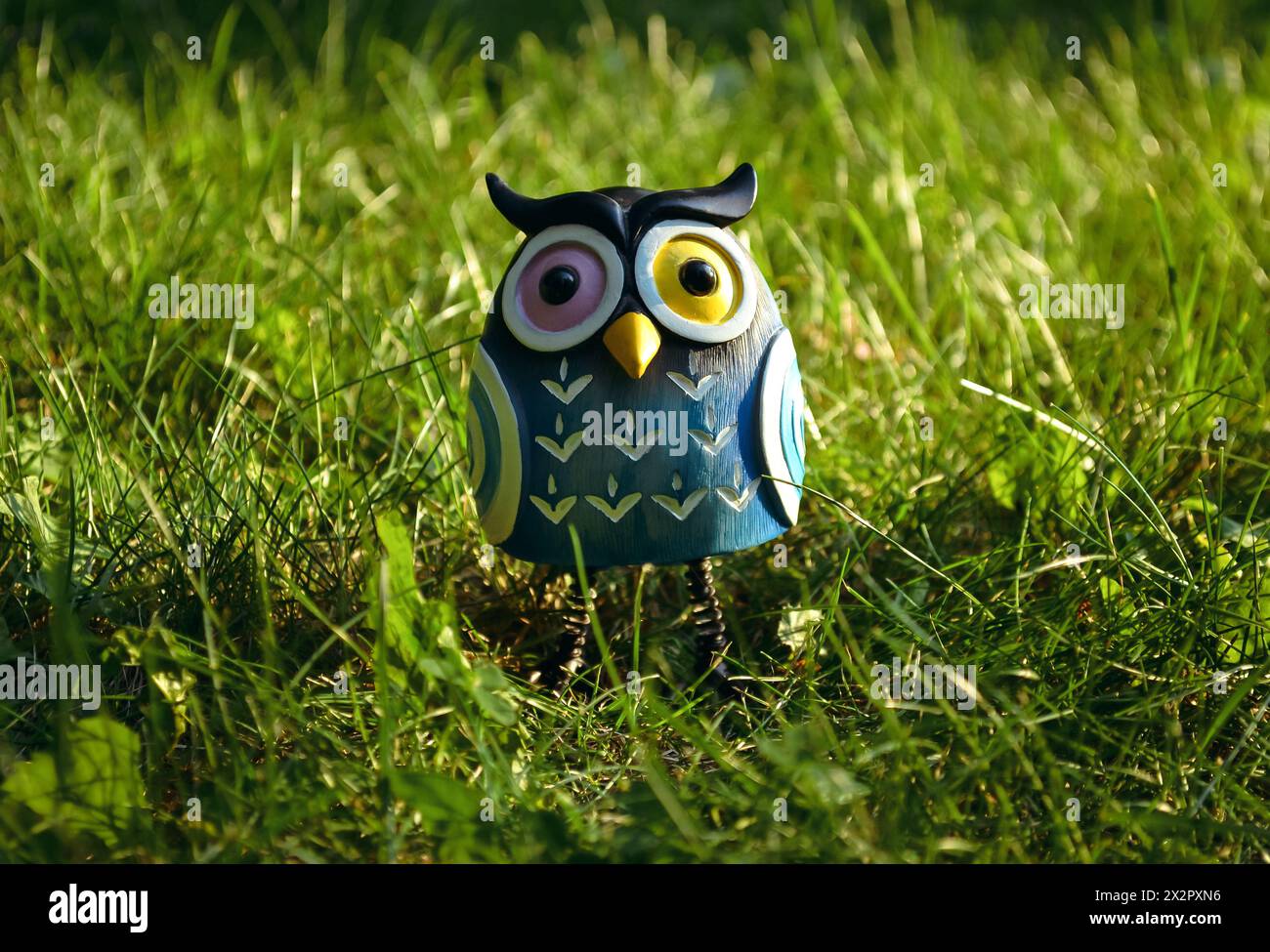 A toy of a surprised blue-colored owl with multi-colored eyes close-up ...