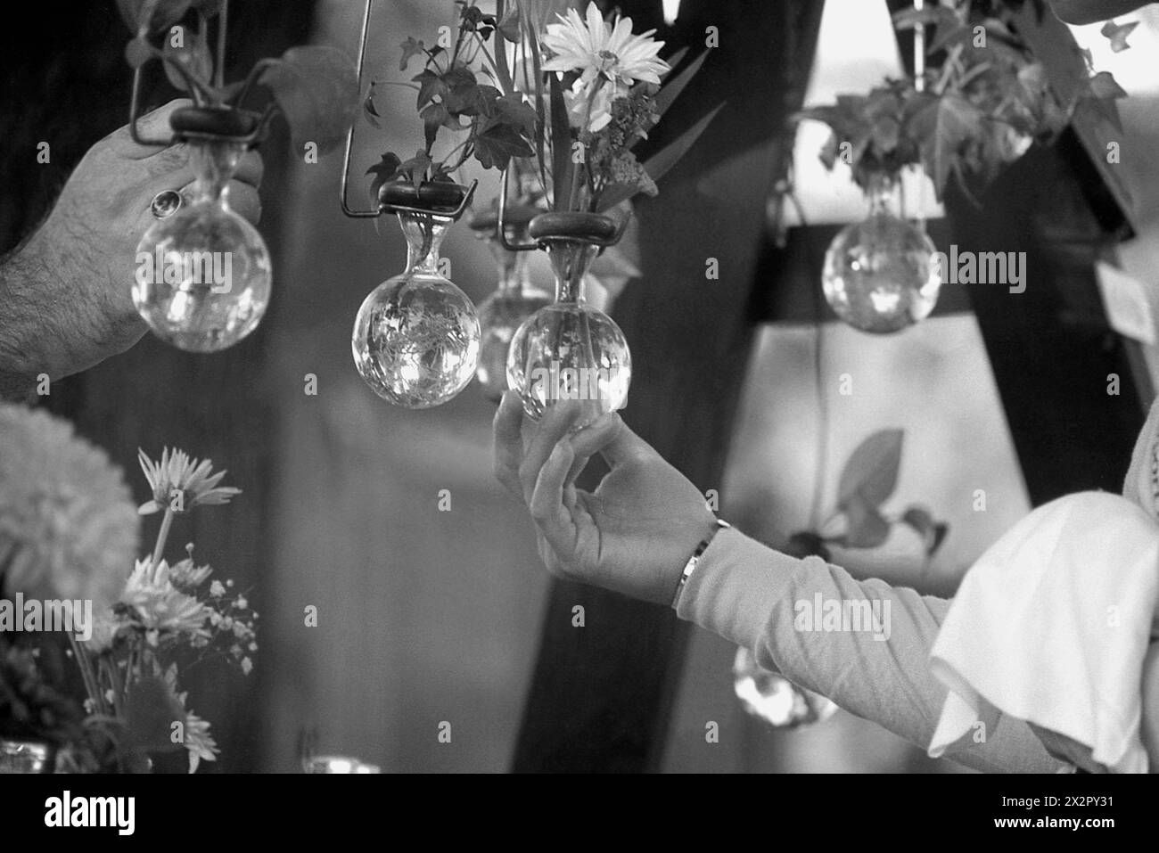 Connecticut, U.S.A., 1982. Plants sold in small glass containers at a ...