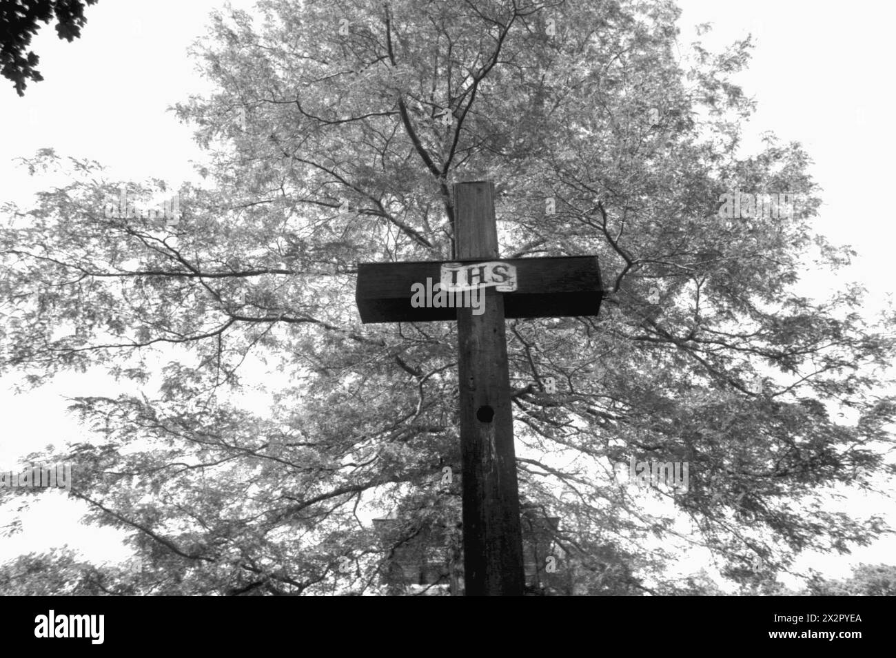 Stratford, Connecticut, U.S.A., 1982. View of a cross with a large tree ...
