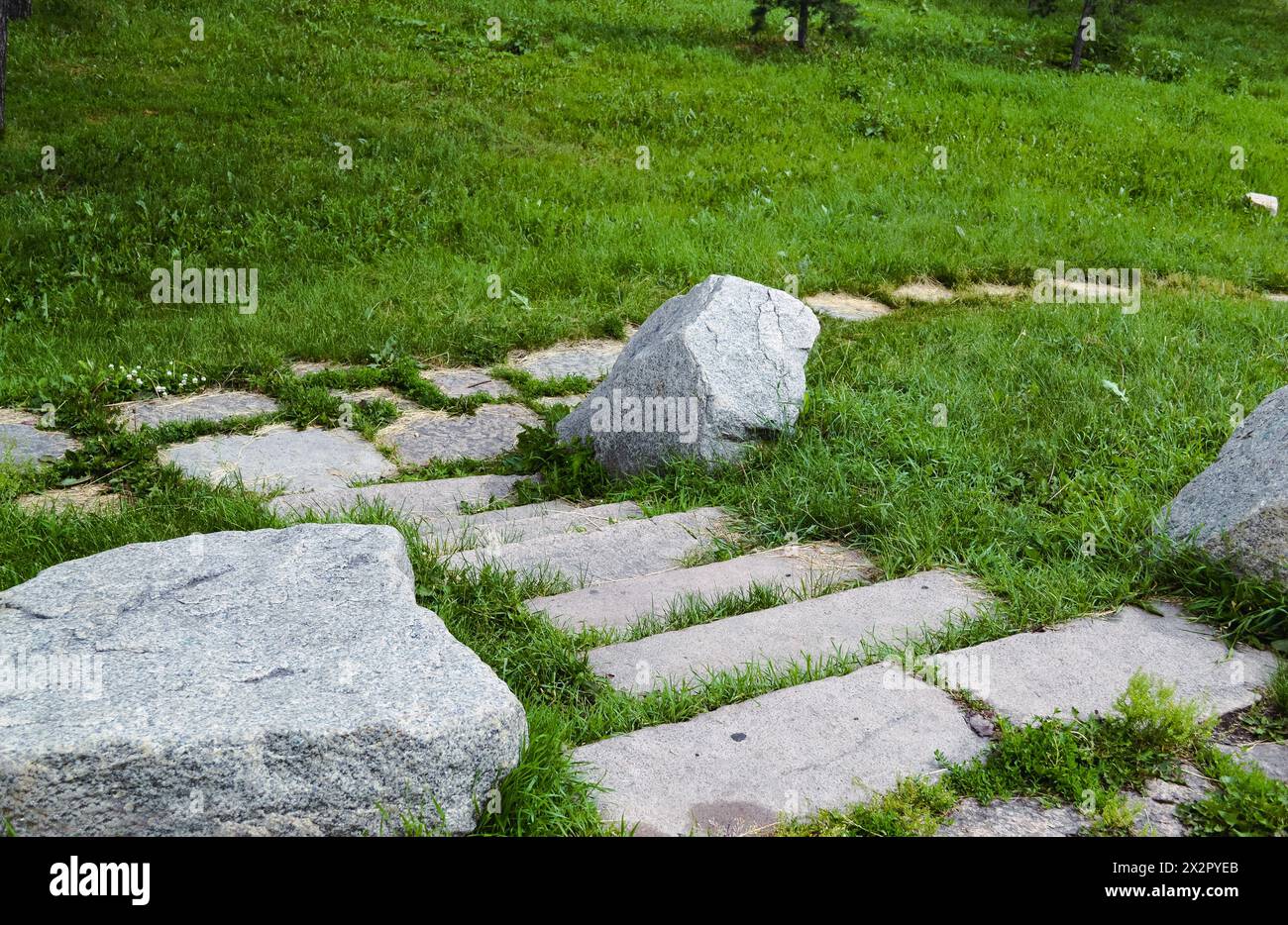 Ground stone grass texture hi-res stock photography and images - Alamy