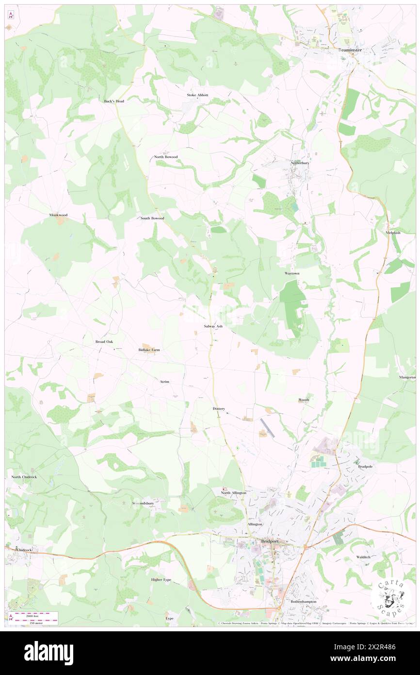 Salway ash hi-res stock photography and images - Alamy