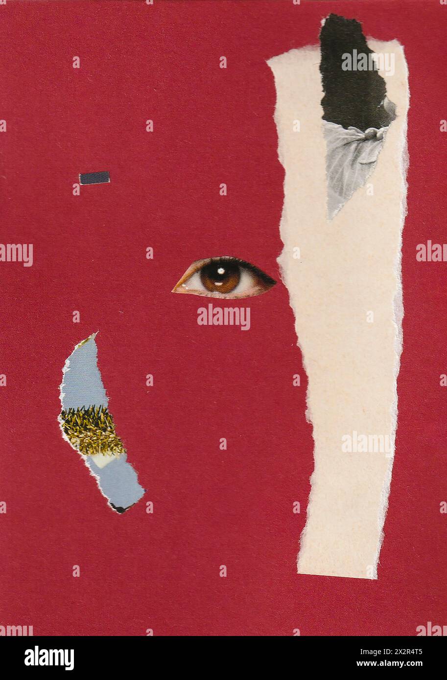 Viewfinder, vision test, art collag scene overview. Eye focusing, scale ...