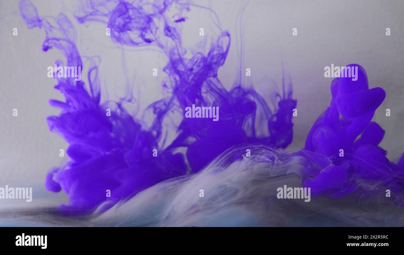 Paint water splash. Fluid smoke. Bright purple blue indigo white color ...