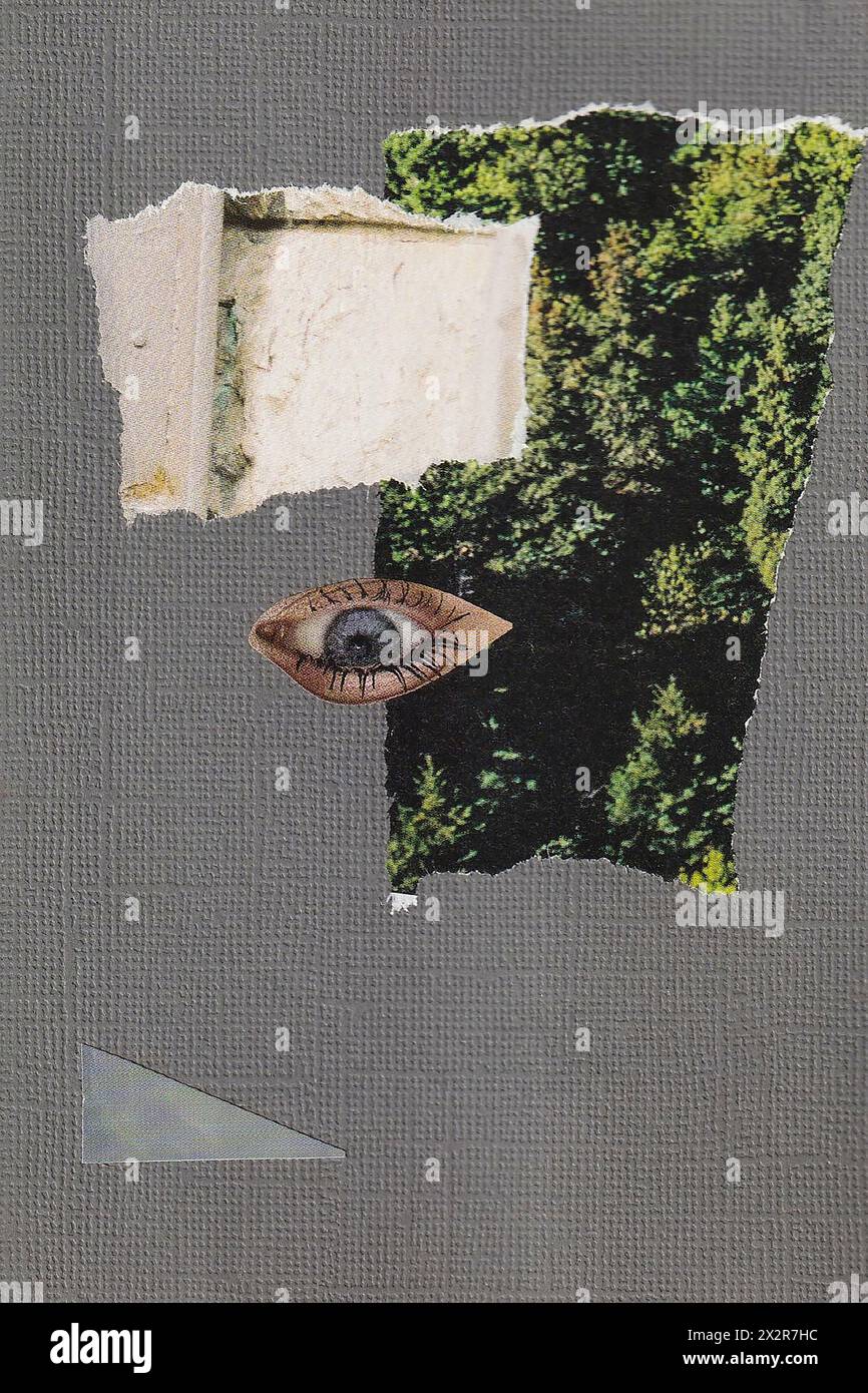 modern collage of a blue eye on a gray background with a part of the ...